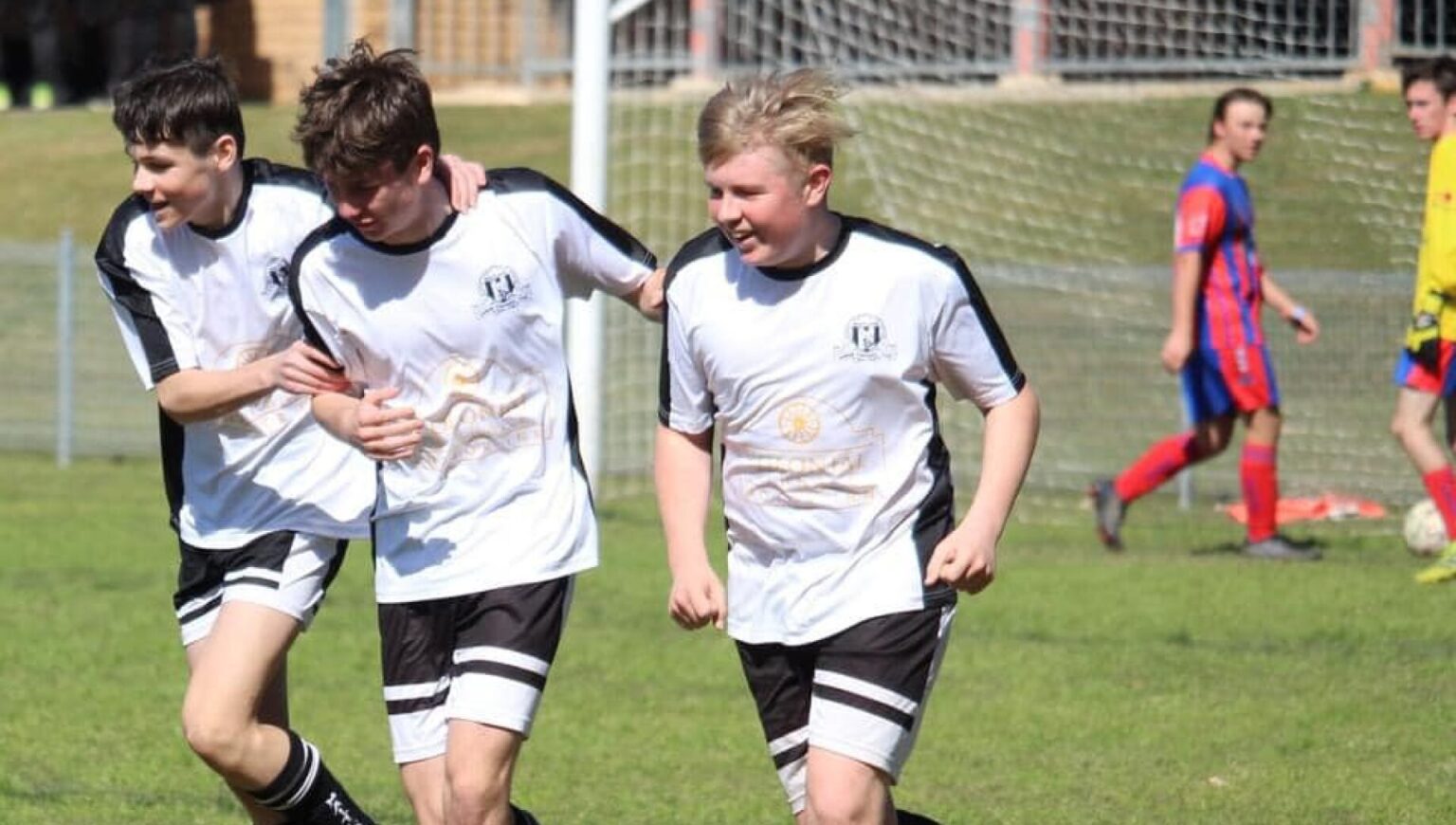 Competitions - Maitland Junior Football Club